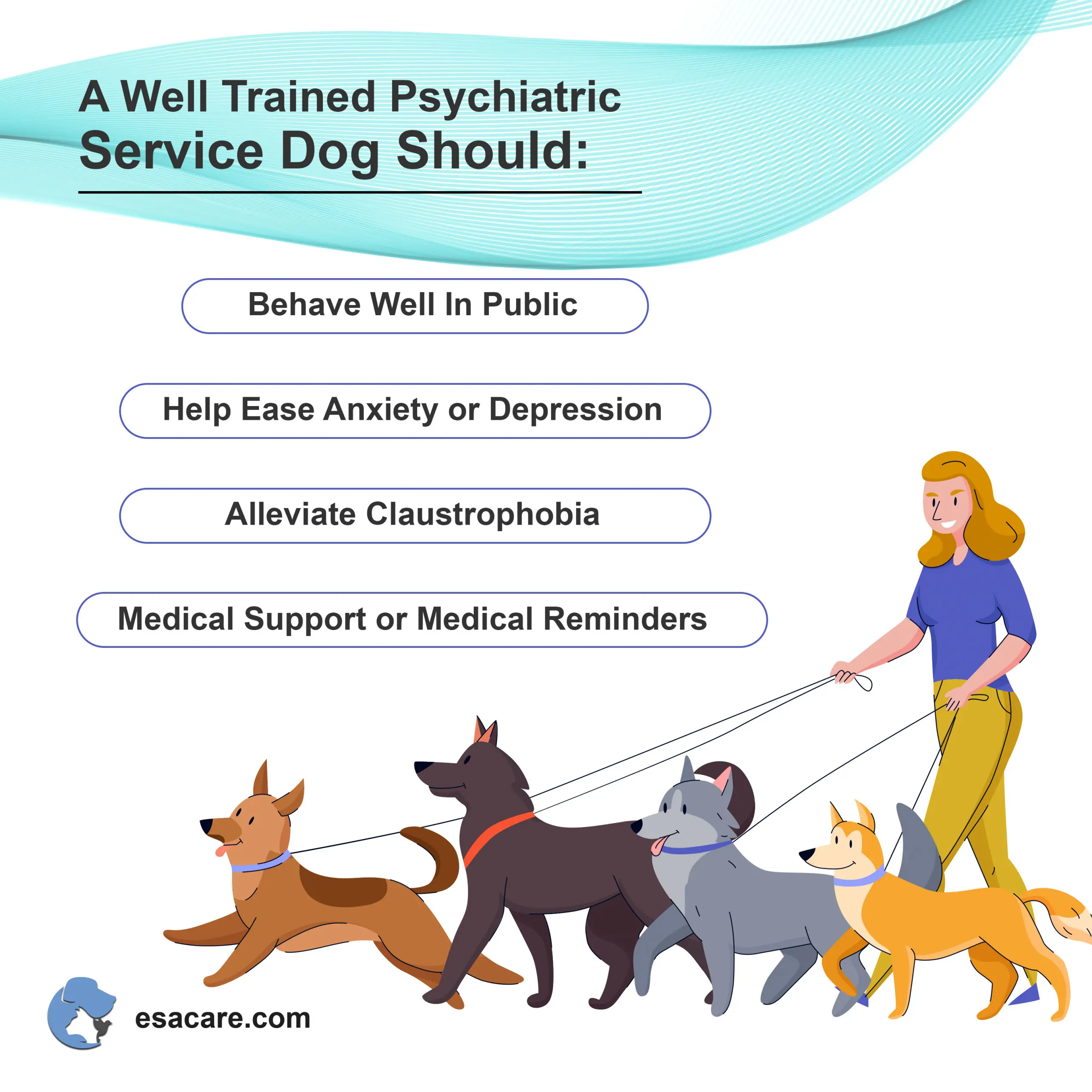 What Tasks Can Service Dogs Do