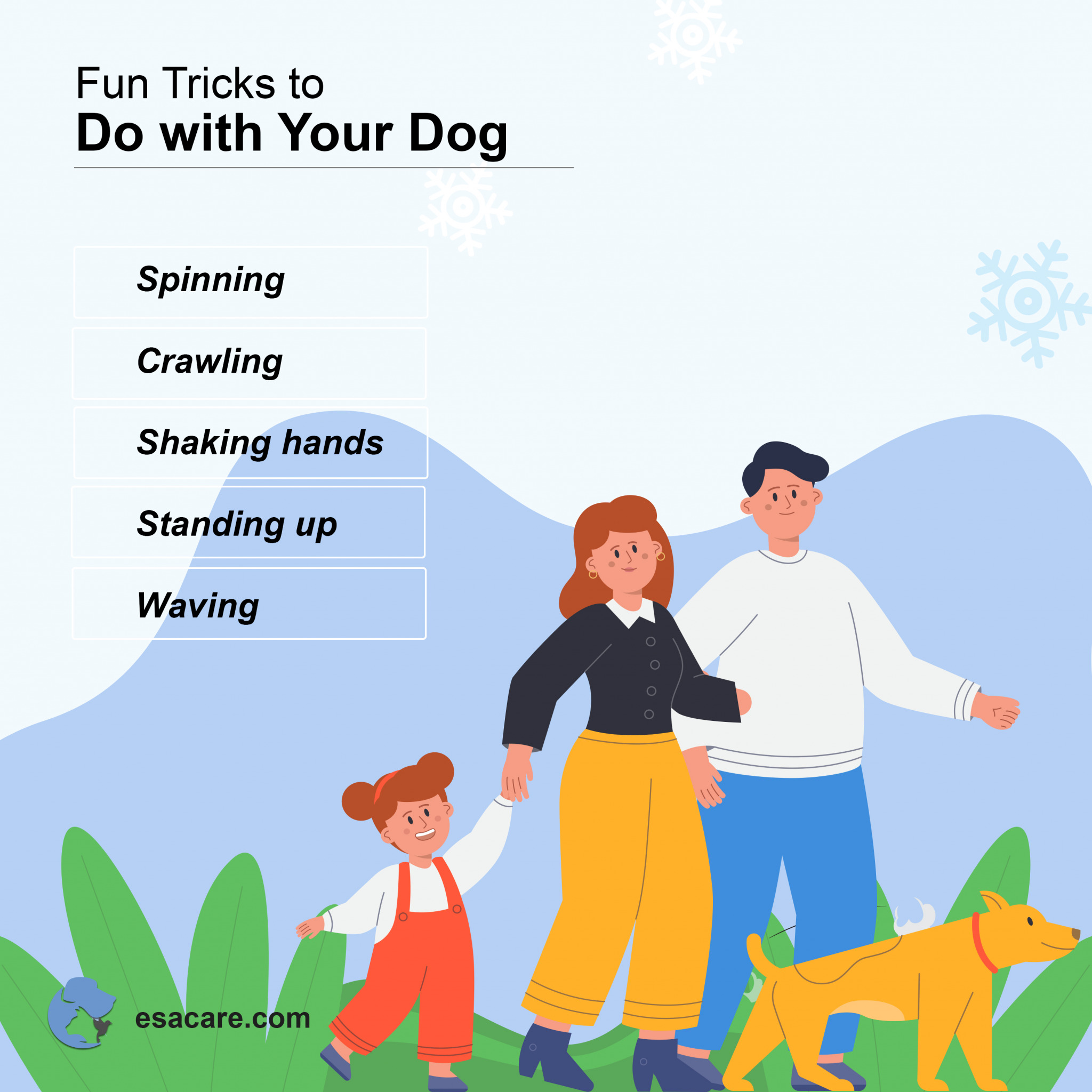 5 Activities To Keep Your Dog Entertained Indoors - ESA Care