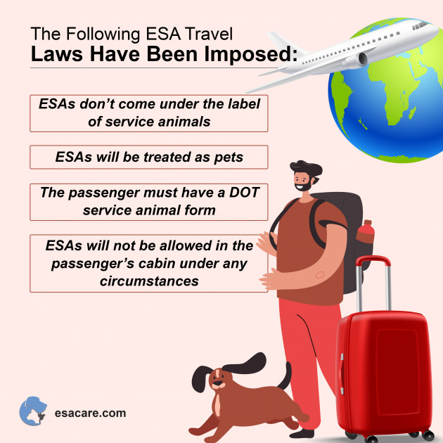 ESA Travel Laws and AirBnB Stays: Complete Travel Guide - ESA Care