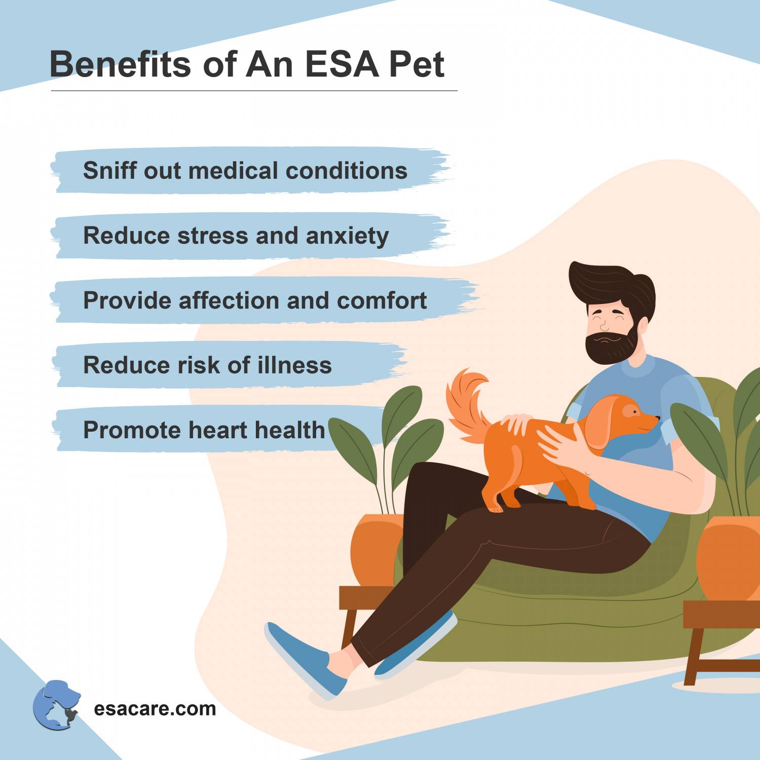 Emotional Support Animal Registration: A Complete Guide - ESA Care