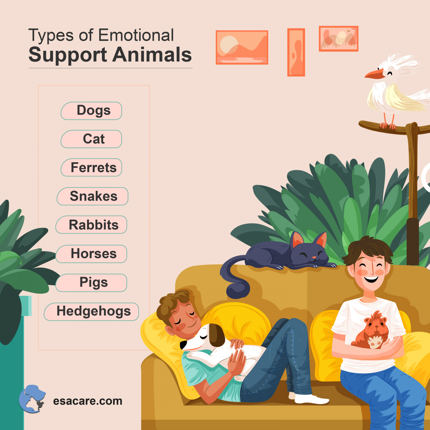 Emotional Support Animal Registration: A Complete Guide - ESA Care