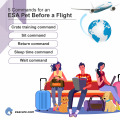 List of Documents Required For Traveling With an ESA Pet - ESA Care