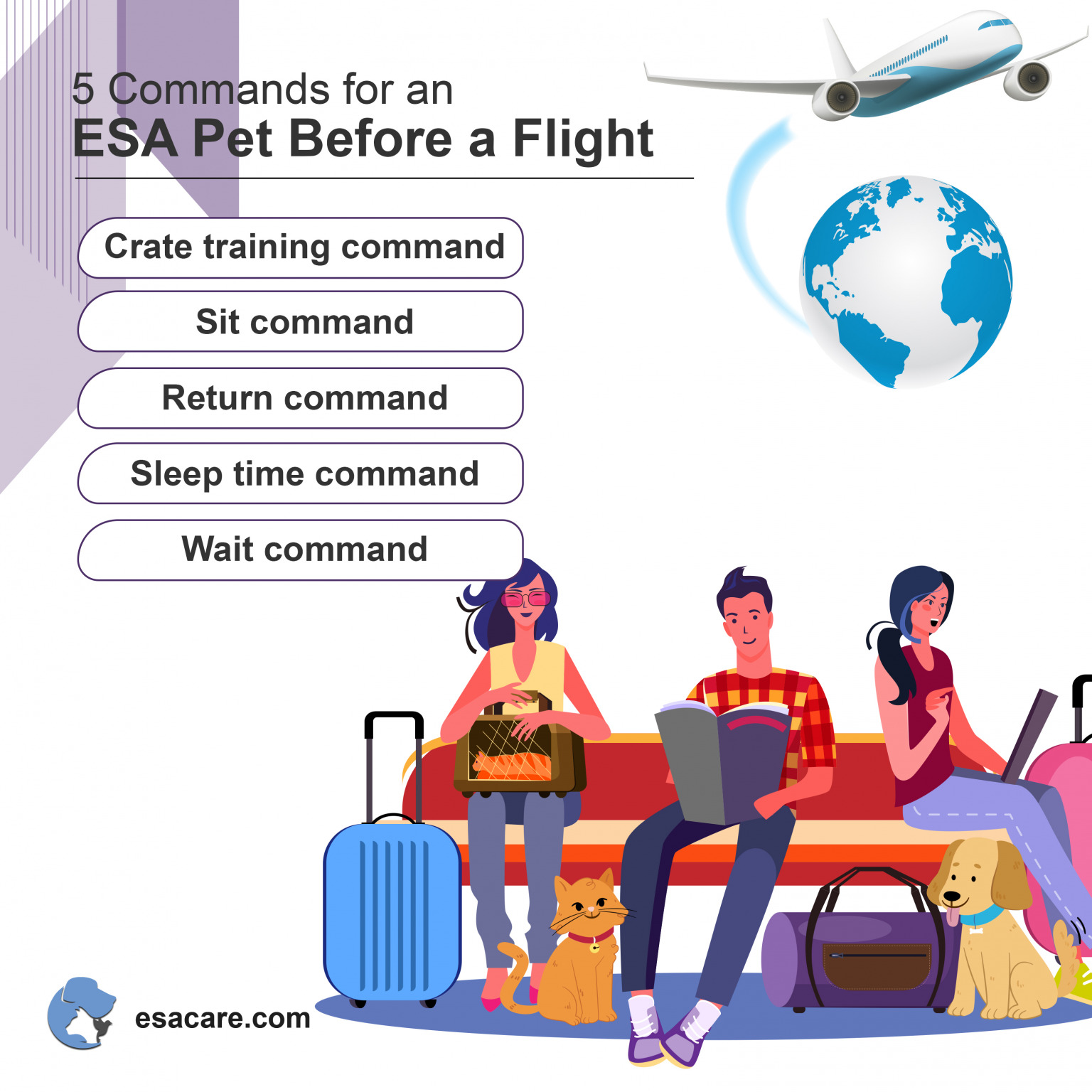 List of Documents Required For Traveling With an ESA Pet - ESA Care