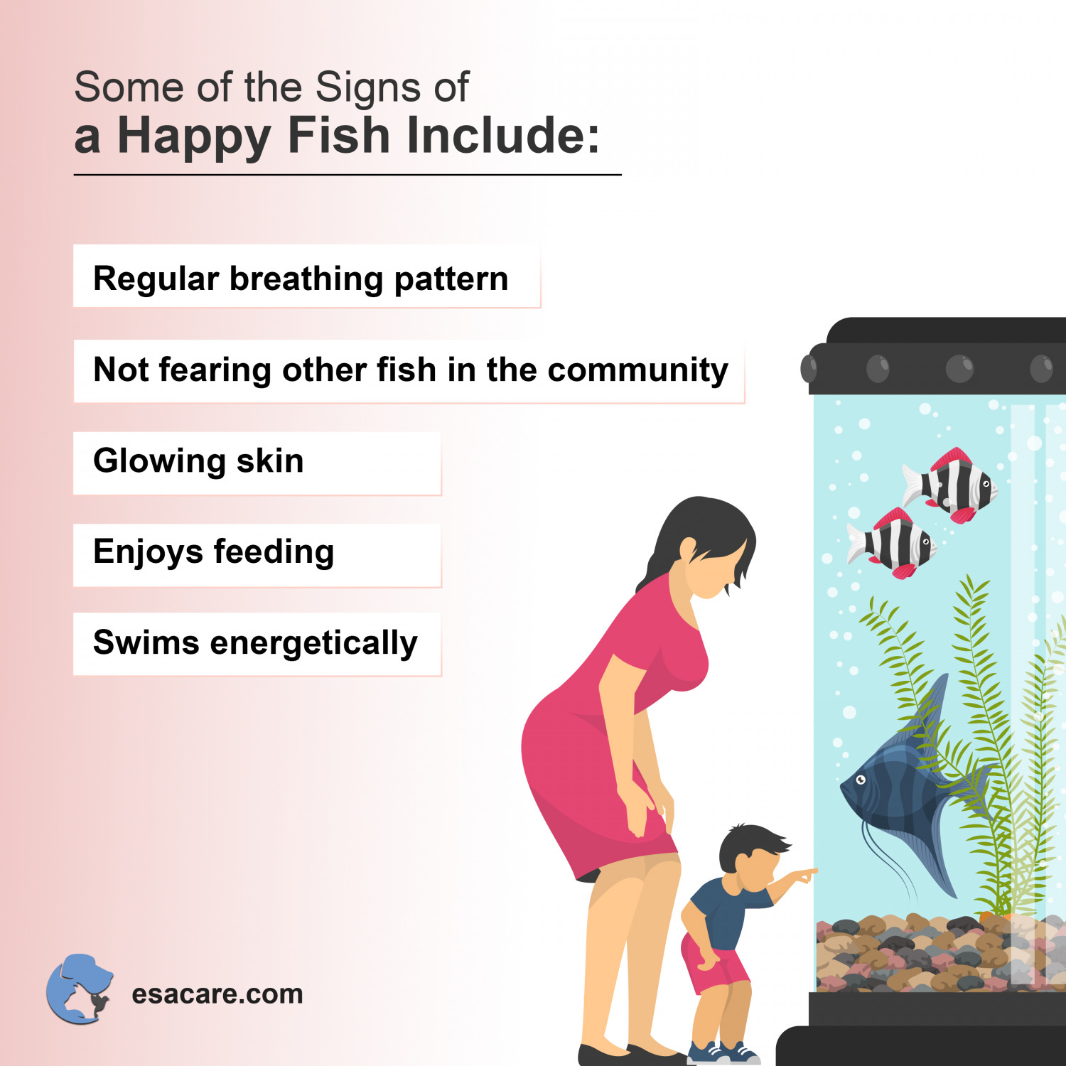 Things to Keep in Mind When Petting a Fish - ESA Care