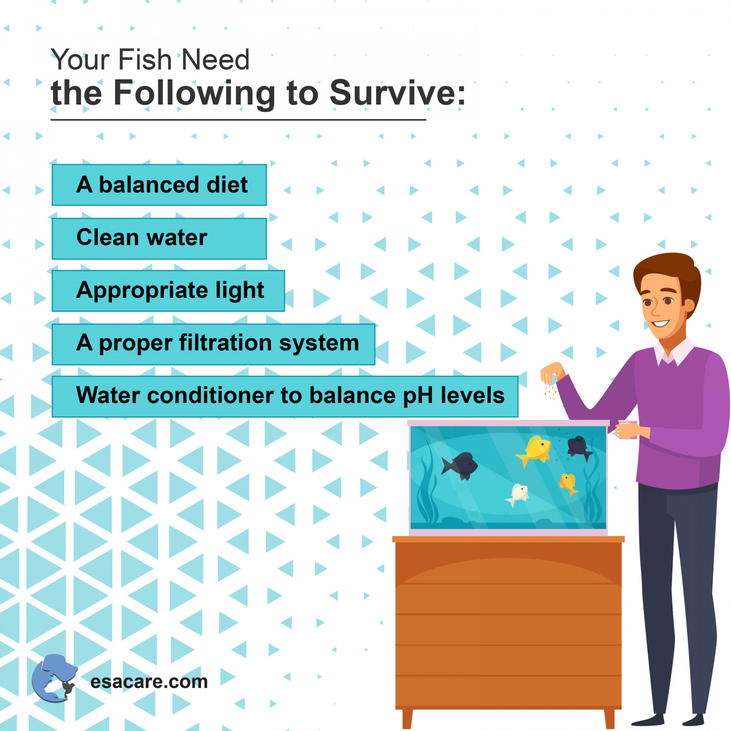 Things to Keep in Mind When Petting a Fish - ESA Care