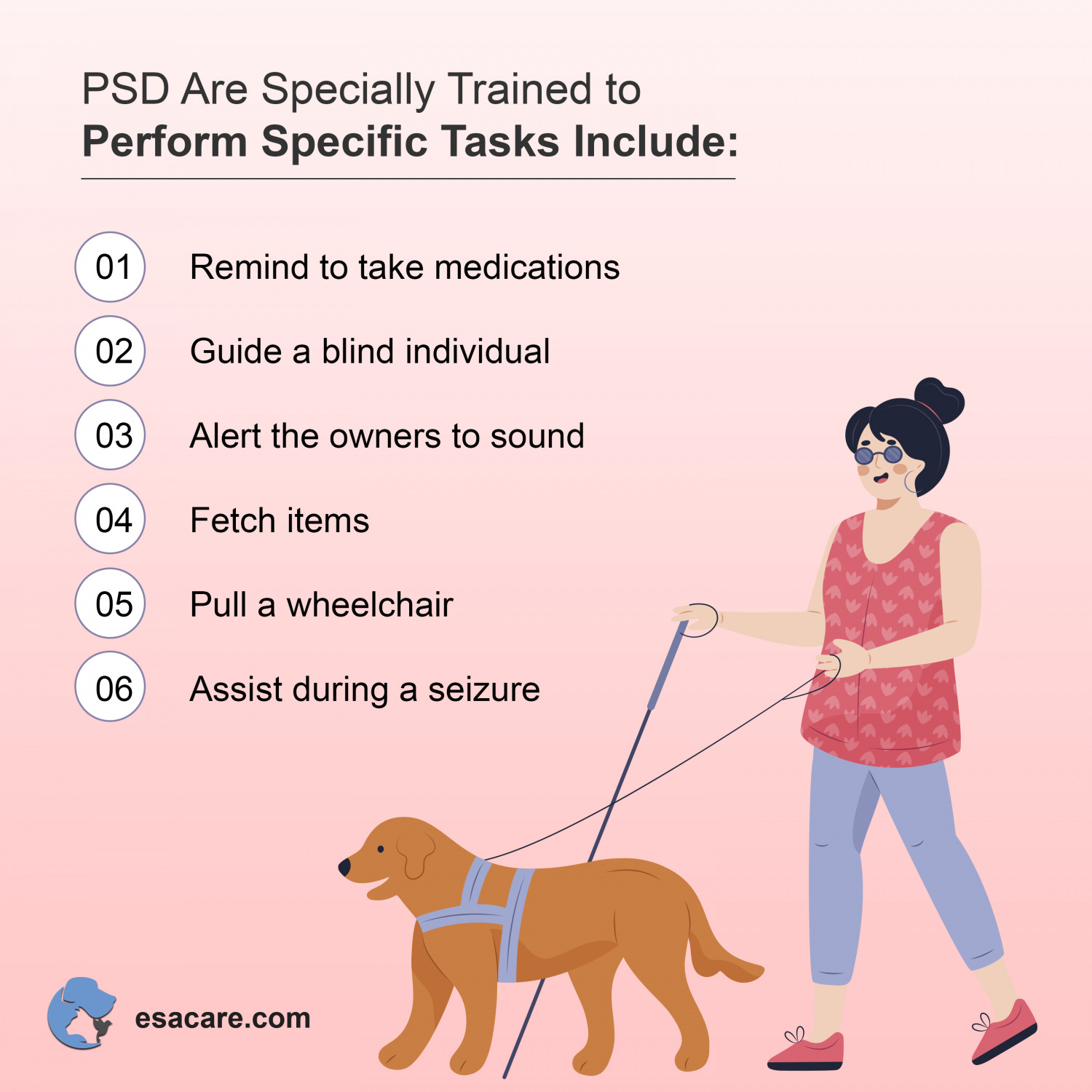 5 Reasons to Get a PSD Letter in Your State? - ESA Care
